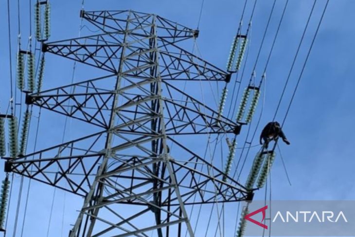 Masyarakat aman beraktivitas di sekitar pekerja stringing SUTT 150 kV ...