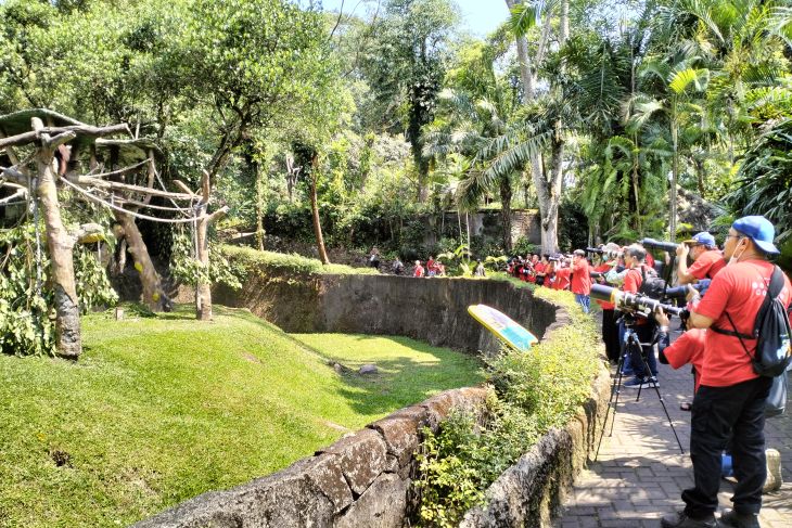 Puluhan fotografer ikuti IAPVC 2022 Taman Safari Prigen - ANTARA News ...