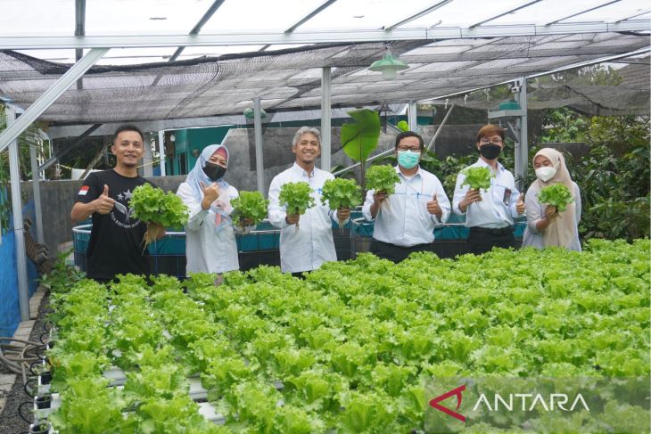 PLN tingkatkan produktivitas pertanian di Kalsel melalui pemanfaatan energi listrik - ANTARA ...