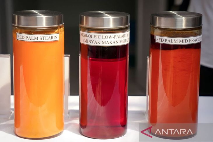 Ready to support red cooking oil pilot project: SOEs Ministry - ANTARA News