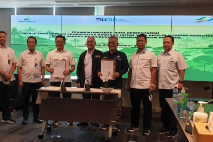 SGN sambut baik kerja sama operasi pemanfaatan kawasan hutan - ANTARA ...