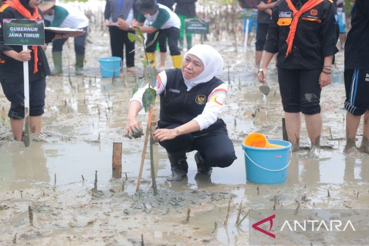 Pemkab Sampang gandeng Poltera dan nelayan atasi abrasi pantai - ANTARA ...