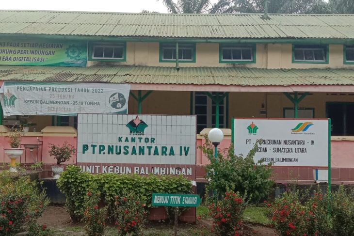 Penuturan kakek 84 tahun, penggarap pertama lahan PTPN IV Kebun ...