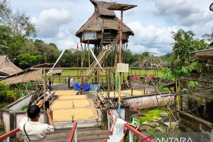 Rumah Adat Dayak Bidayuh perlu perbaikan - ANTARA News Kalimantan Barat