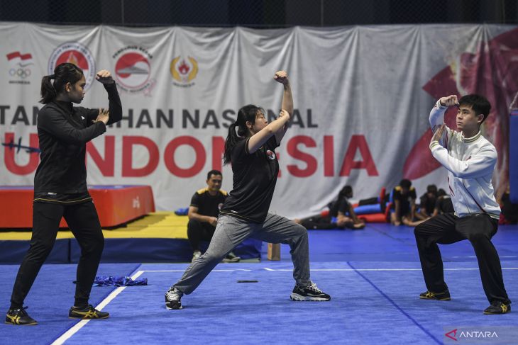 Indonesian wushu team to train in China before SEA Games - ANTARA News