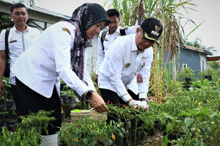 Singkawang perkuat ketahanan pangan dengan program P2L - ANTARA News ...