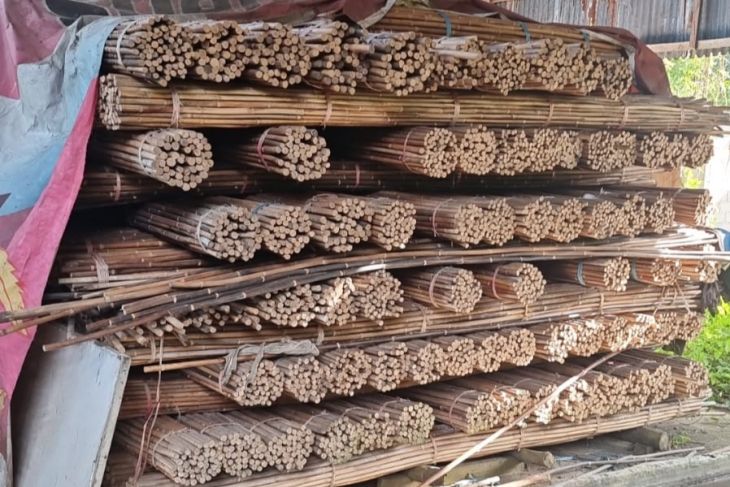 Asosiasi pengusaha rotan di Kalbar minta larangan ekspor direvisi ...