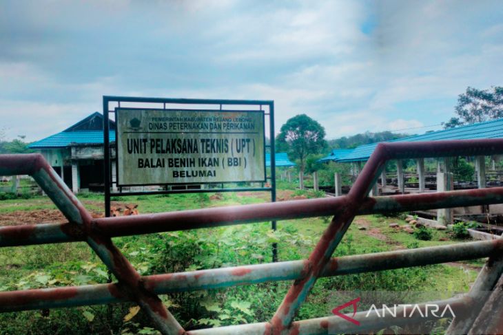 Pemkab Rejang Lebong optimalkan fungsi Balai Benih Ikan - ANTARA News Bengkulu