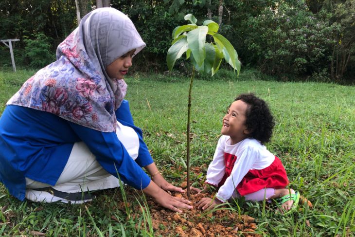 Pupuk Kaltim ajak karyawan tanam 1.000 pohon dari rumah - ANTARA News Kalimantan Timur