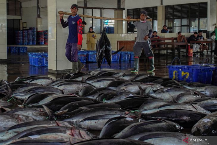 Musim tuna di Sendang Biru - ANTARA News Jawa Timur