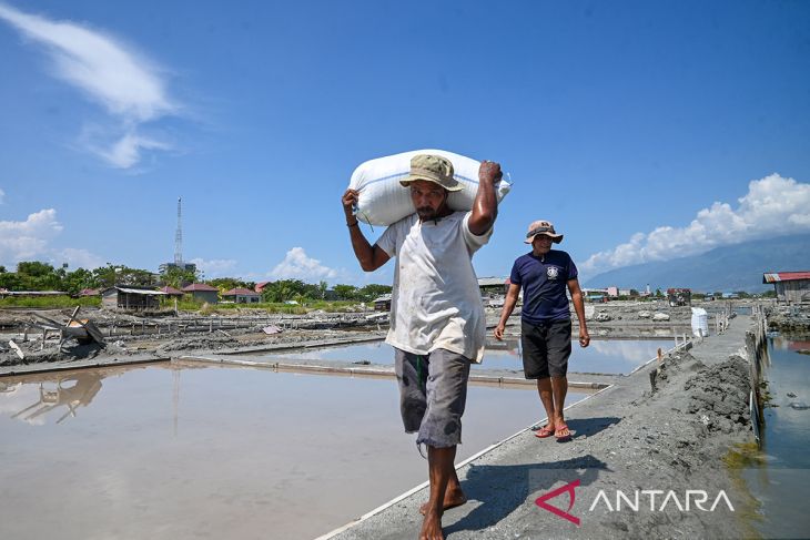 Produksi garam rakyat - ANTARA News Jawa Barat