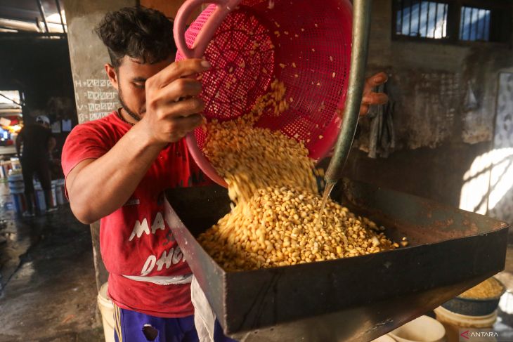 Perajin tahu terdampak kenaikan harga kedelai - ANTARA News Jawa Timur