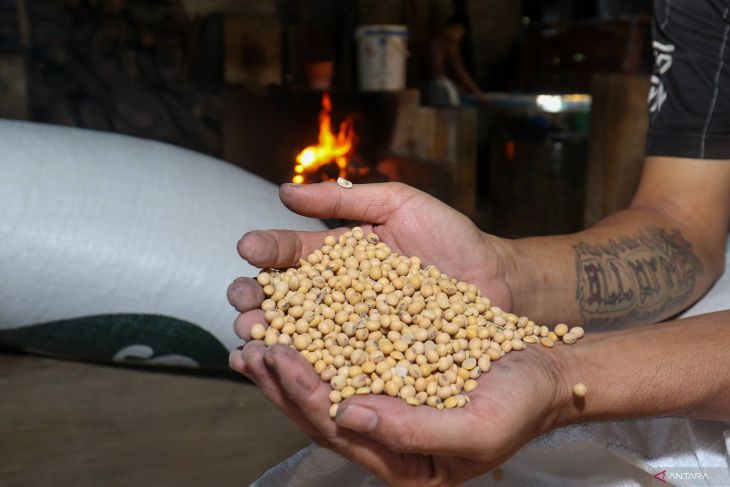 Perajin tahu terdampak kenaikan harga kedelai - ANTARA News Jawa Timur