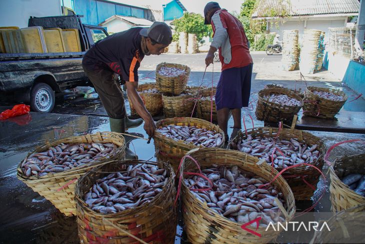 Proyeksi produksi ikan nasional - ANTARA News Jawa Barat