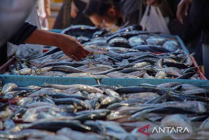 Proyeksi produksi ikan nasional - ANTARA News Jawa Barat