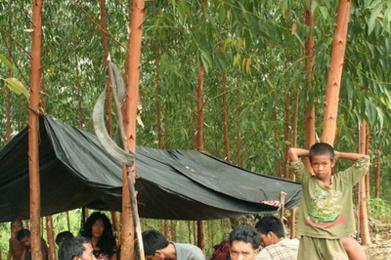 Anak Rimba Jambi pertama lulus UN SMA - ANTARA News