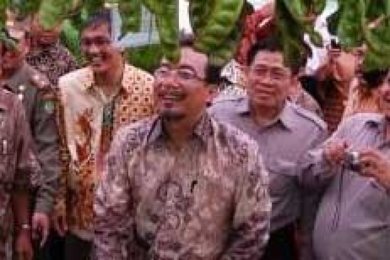 Mentan Serukan Diversifikasi Makanan Pokok - ANTARA News Kepulauan Riau ...