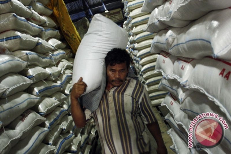 Harga Beras di Serang Naik Rp1.000/kg - ANTARA News