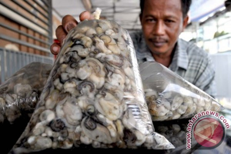 Tiram Teritip - ANTARA News