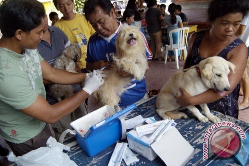 Anjing Rabies ancam warga Mukomuko - ANTARA News Bengkulu