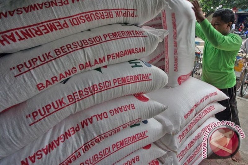Pupuk bersubsidi langka jelang musim tanam - ANTARA News Bengkulu