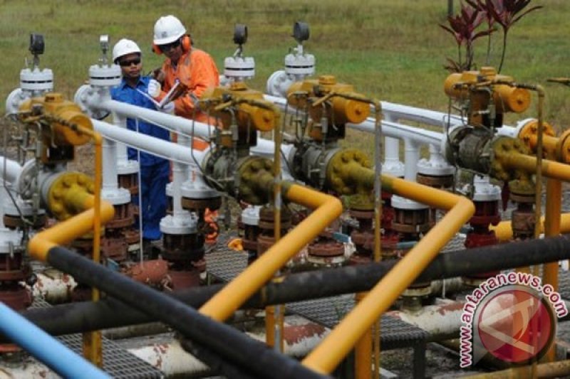 Pertamina rekrut operator lokal untuk proyek Gundih - ANTARA News