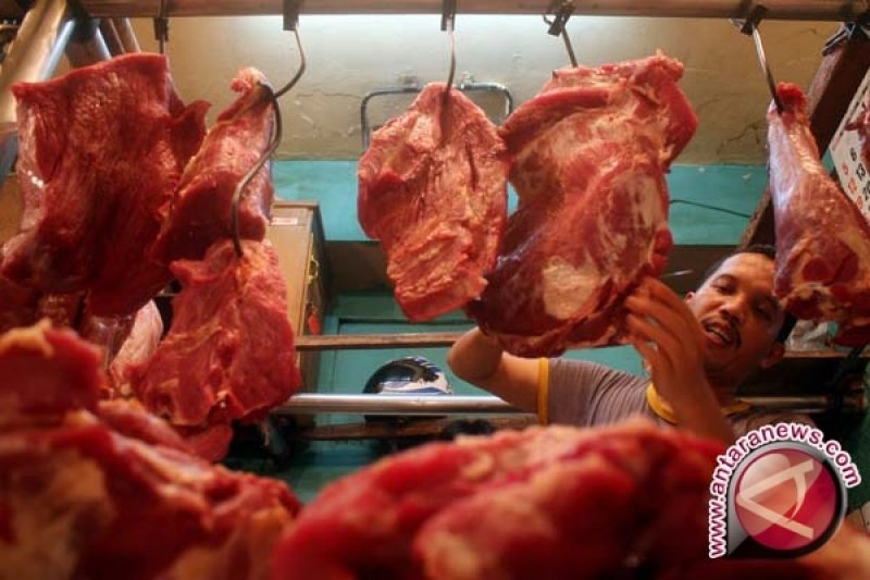 Indonesia miliki potensi ekspor daging sapi - ANTARA News Yogyakarta ...