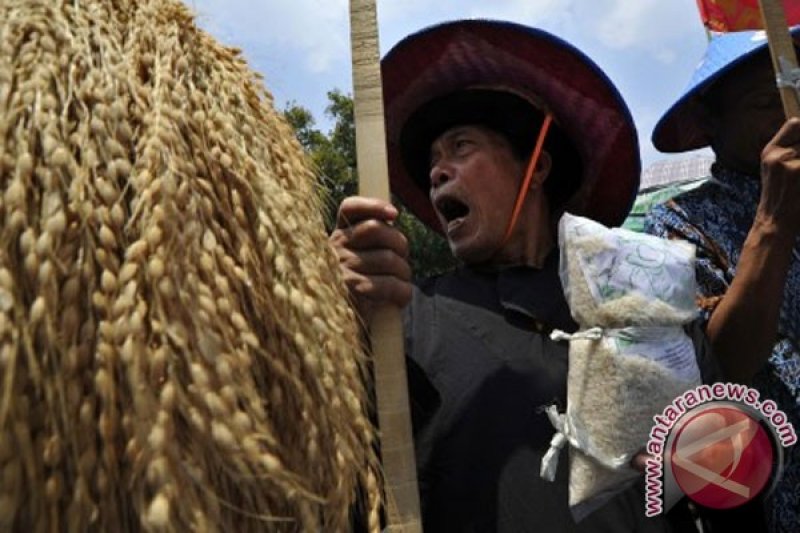 FA UGM canangkan Gerakan Kedaulatan Pangan - ANTARA News