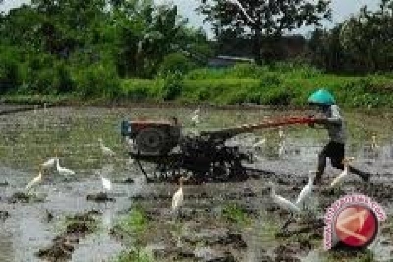 Bantul optimalkan pembinaan petani lebih mandiri - ANTARA News ...