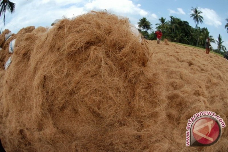 Serbuk sabut kelapa hemat pupuk 50 persen - ANTARA News Kalteng