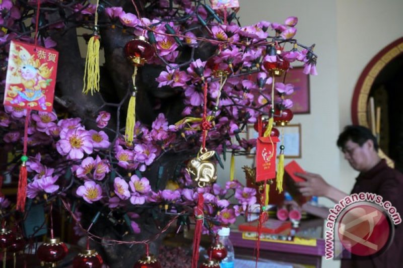 Bunga Mei Hwa melambangkan semangat baru Imlek - ANTARA News