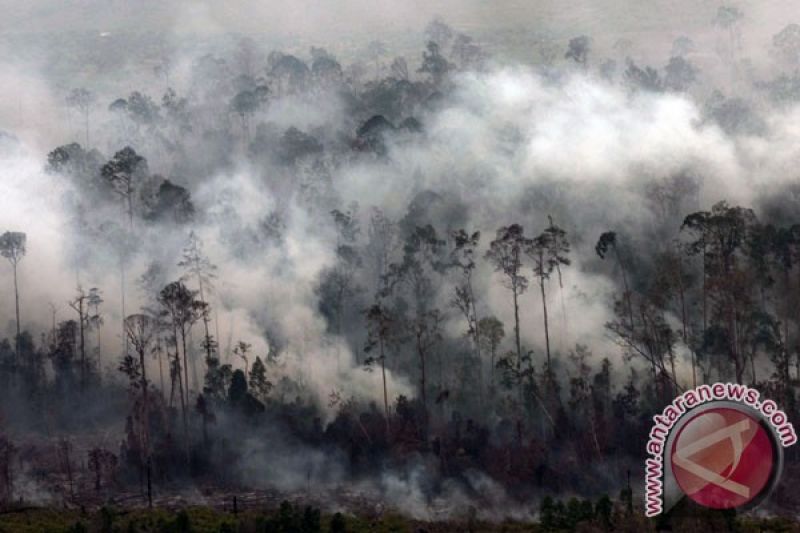 Racing against time to save Riau`s biosphere reserve from fires ...