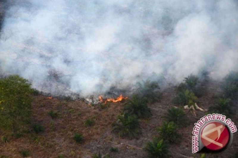 "Hotspot" Riau terus meningkat jadi 145 titik - ANTARA News Yogyakarta ...