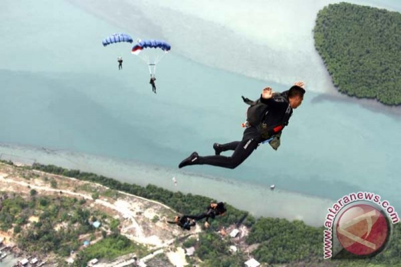 Terjun Free Fall Taifib - ANTARA News