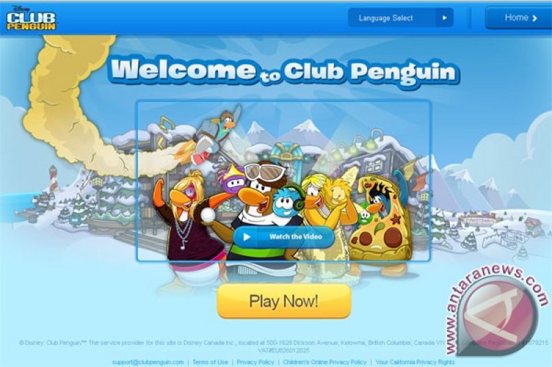 Disney rilis Club Penguin untuk Android - ANTARA News