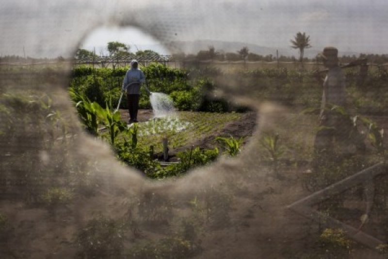 Yogyakarta ajukan proses kekancingan 65 makam gunakan Sultan Ground ...