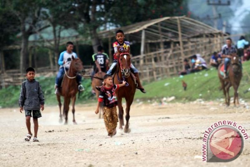 Pegunungan Fatuleu buka peluang wisata berkuda - ANTARA News