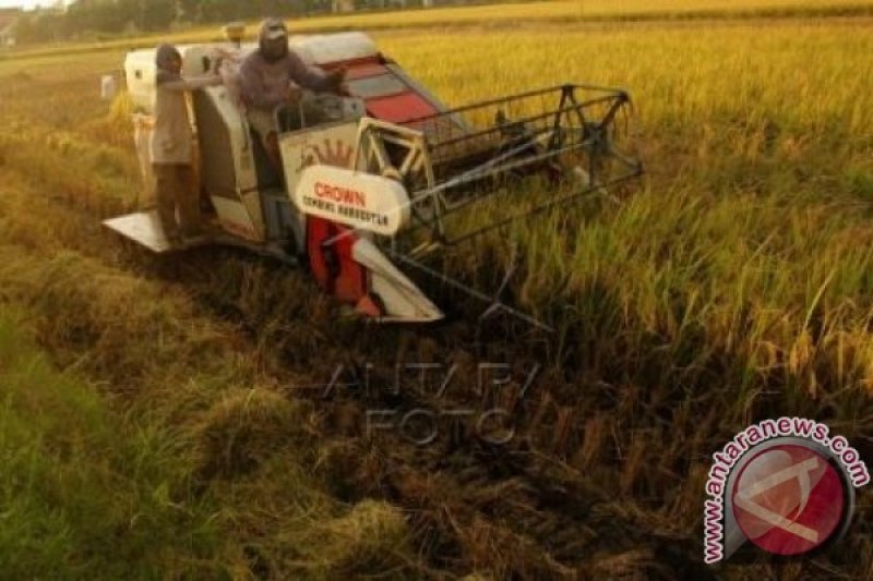 MESIN PANEN PADI - ANTARA News Makassar
