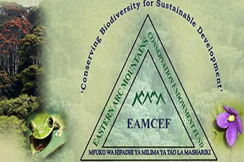 Tanzania loses 80% of forest in Eastern Arc Mountains: WWF - ANTARA News