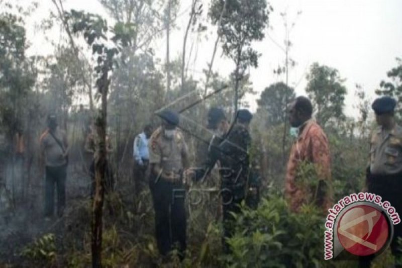 Pemadaman api di hutan Mappi - ANTARA News Papua