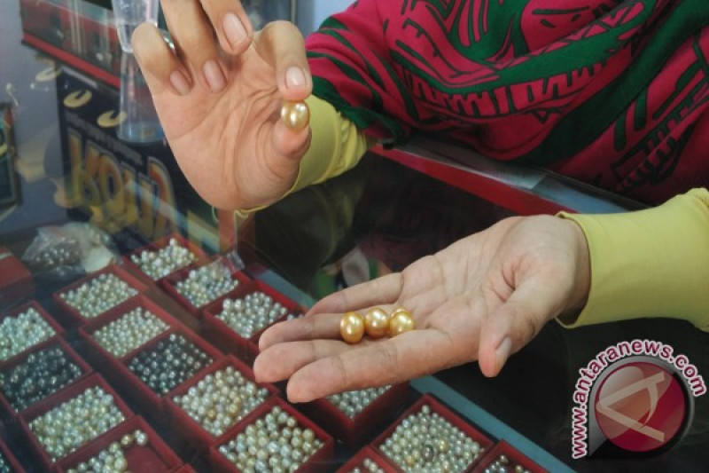 Berburu mutiara Lombok di Sekarbela - ANTARA News