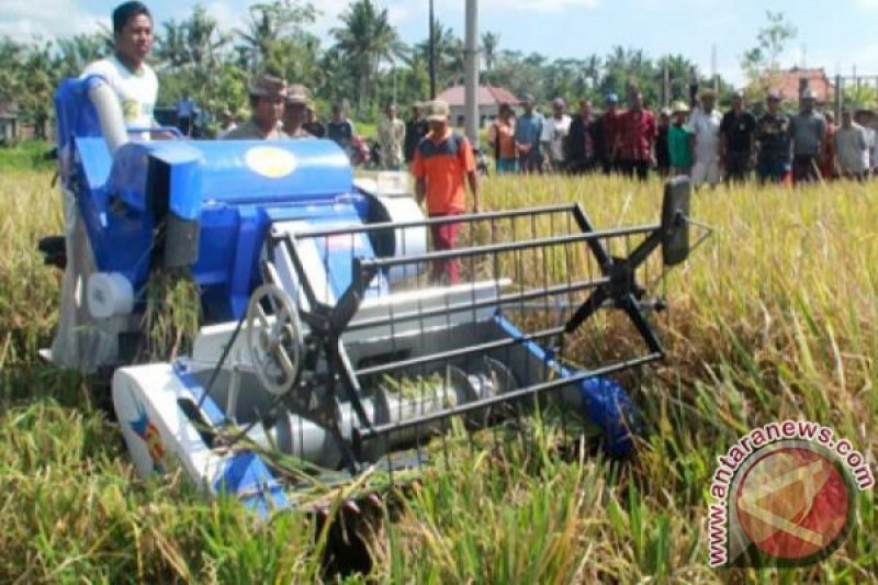 Alat Panen Padi Dibutuhkan Petani, Distanak Ini Sedang Anggarkan ...