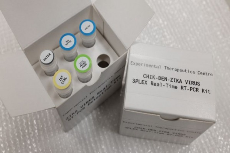 Brazil orders millions of Zika rapid testing kits - ANTARA News