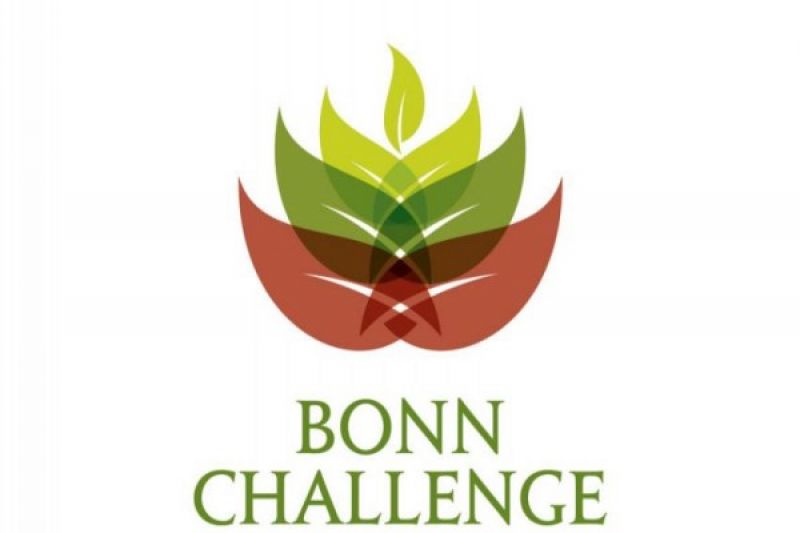 EARTH WIRE -- Bonn Challenge to discuss water channels in plantation ...