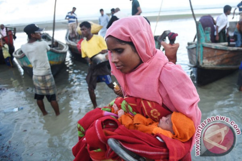 Etimologi dan anatomi Rohingya - ANTARA News