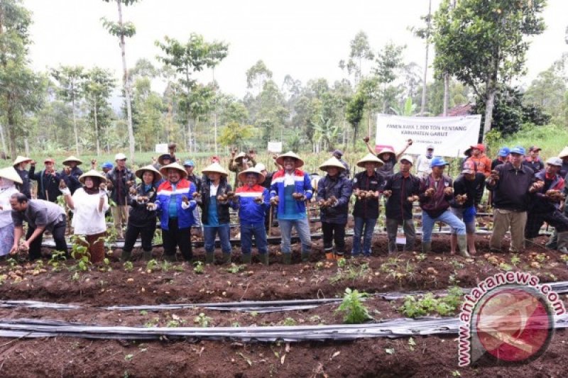 â€˜Disuntikâ€™ program kemitraan Pertamina, petani Garut panen raya ...