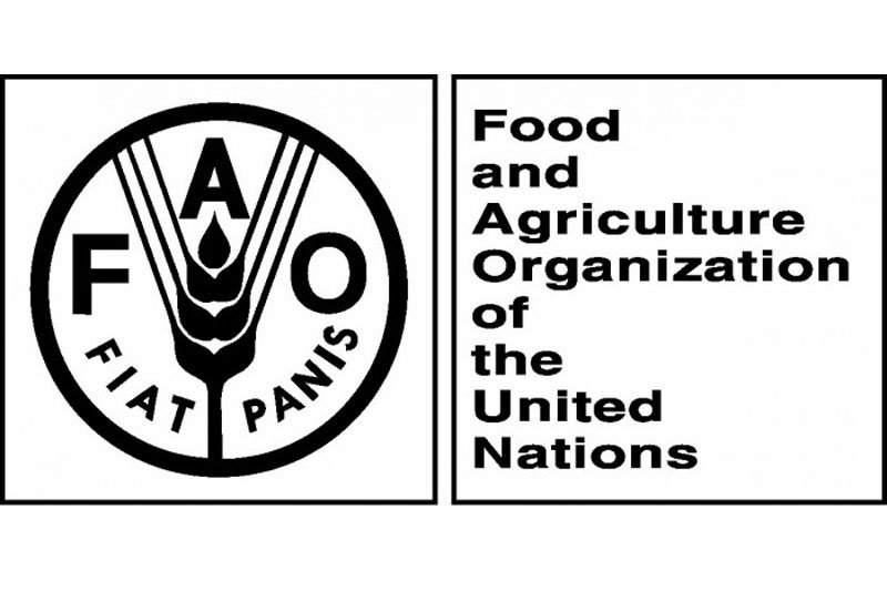 FAO: Indeks pangan dunia jatuh pada Oktober meskipun harga sereal naik ...