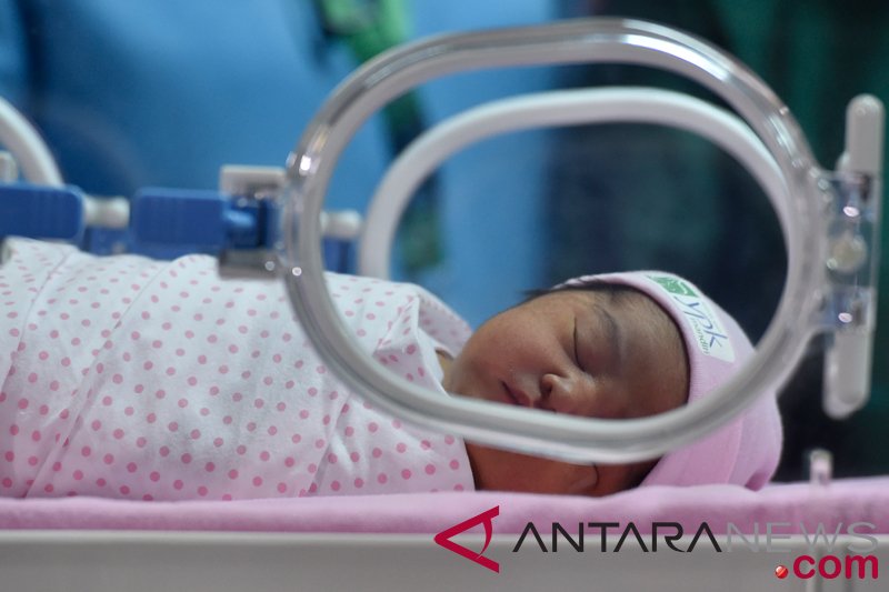 Berasal dari Bahasa Jawa, Ini arti nama Sedah Mirah cucu Jokowi ...