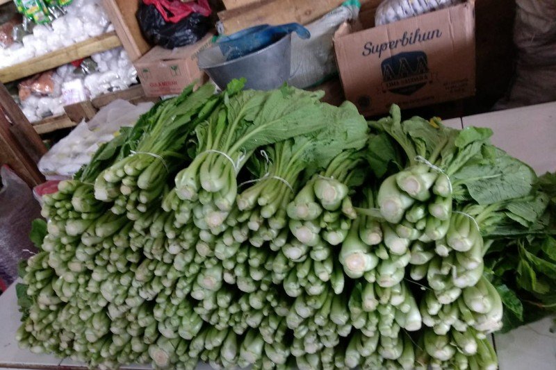 Harga sayur-mayur di Jayapura melonjak pascabanjir Sentani - ANTARA ...