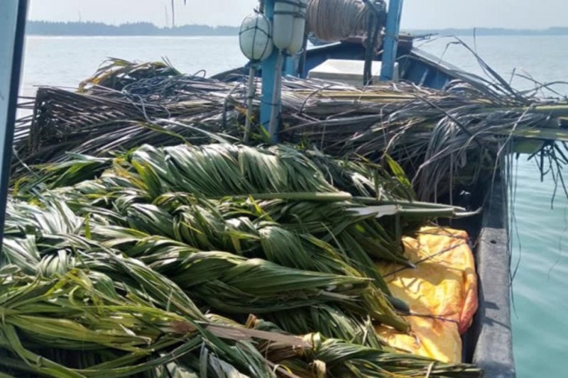 Nelayan Agam diwajibkan pasang rumpon sebelum menangkap ikan, ini ...